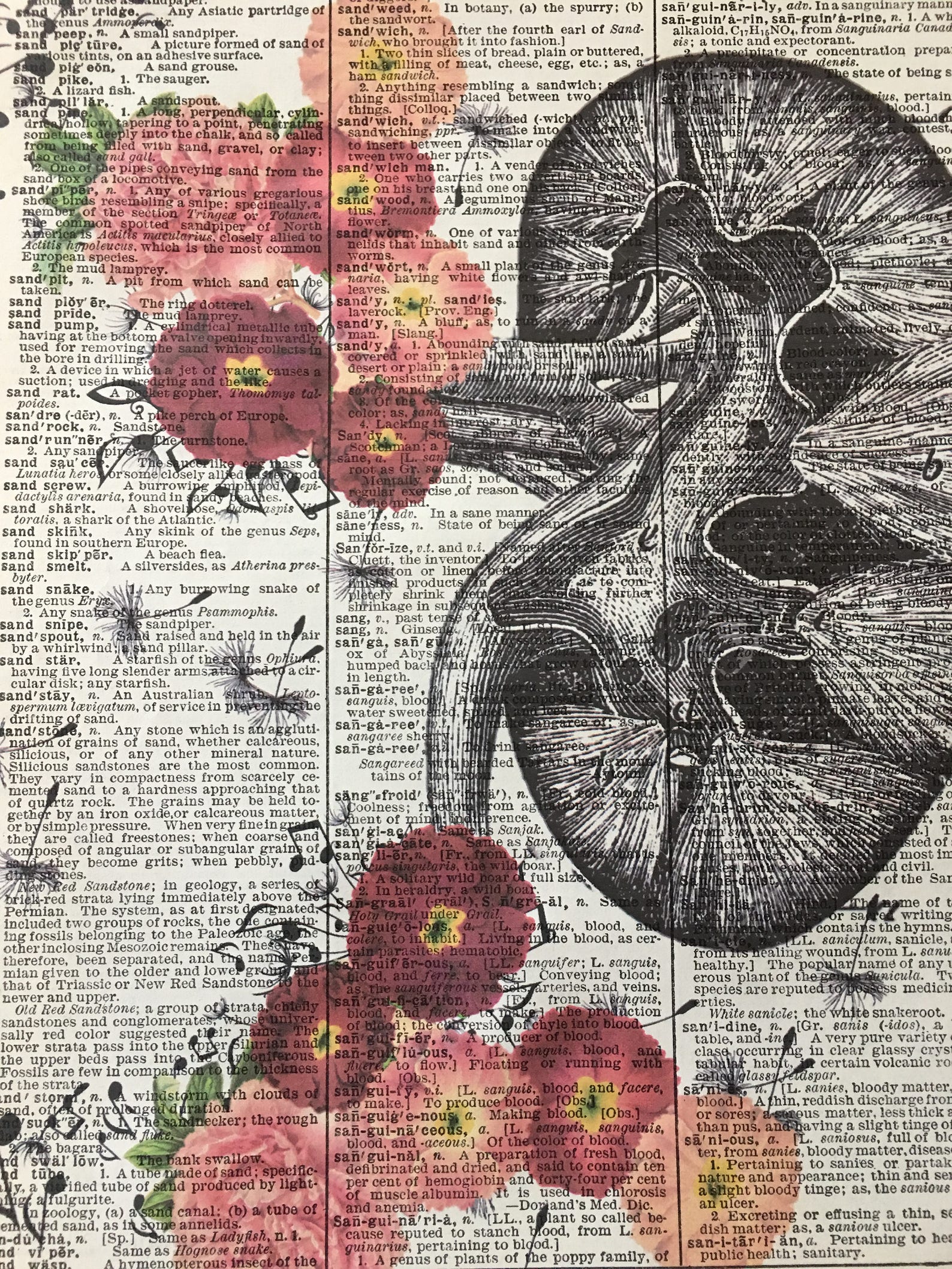 Anatomical Flower Kidney Kidney Flower Print Medical Print | Etsy