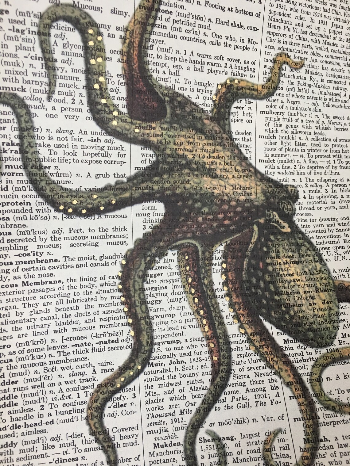 Octopus Art Octopus Prints Marine Life Print Octopus - Etsy