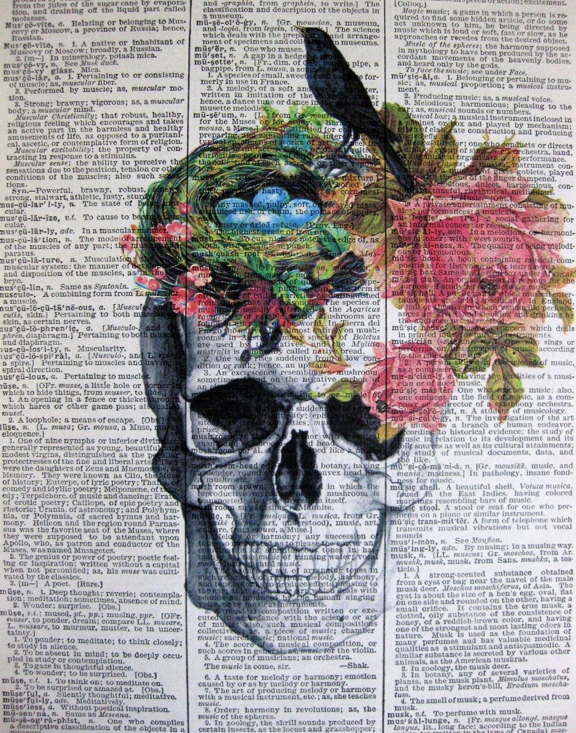 Skull Raven Dictionary Art Print, Skeleton Anatomy Artwork - Etsy