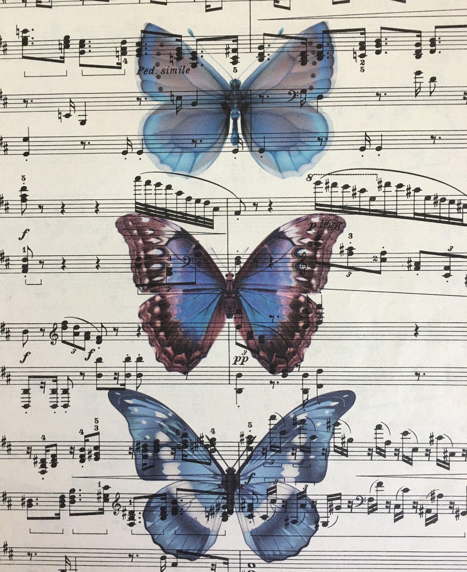 Butterfly Print Blue Butterfly Music Sheet Print Music - Etsy
