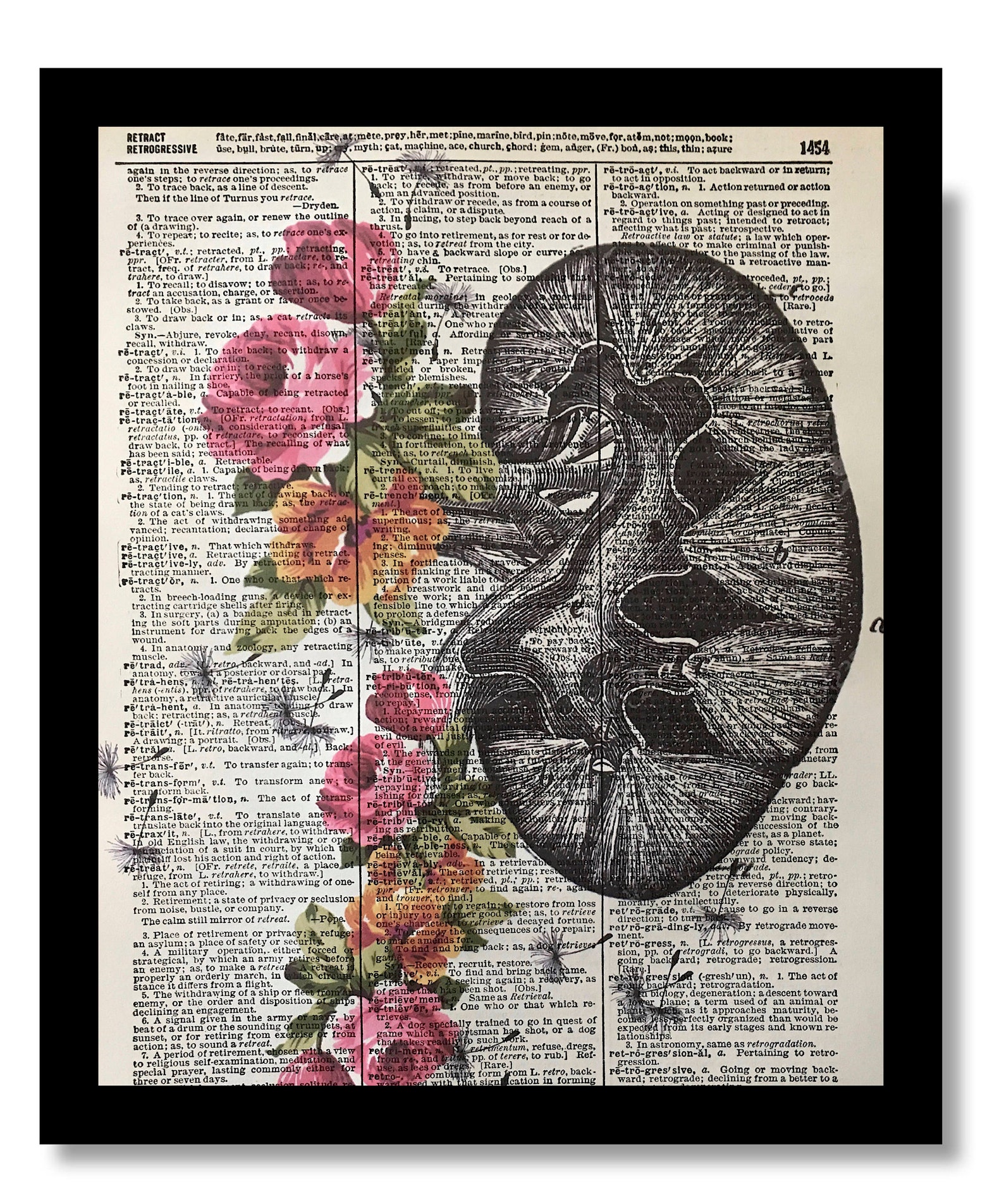 Anatomical Kidney Kidney Flower Print Medical Art Size 8x10 - Etsy