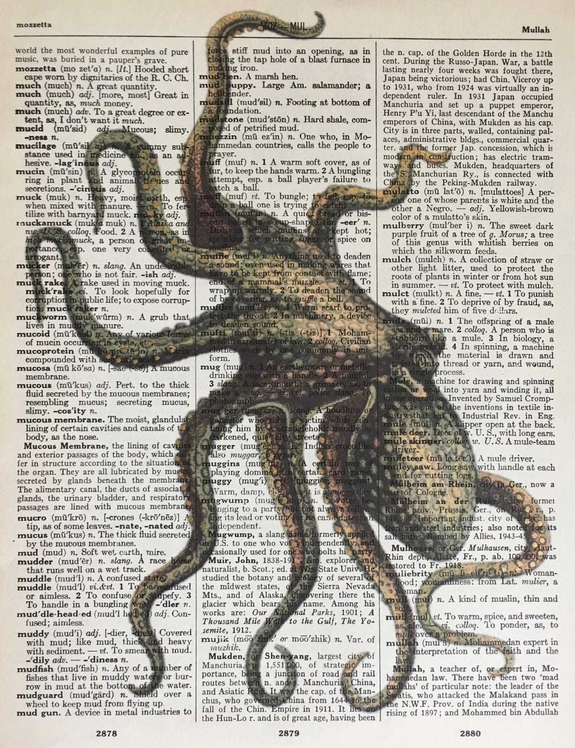 Octopus Art Octopus Prints Marine Life Print Octopus - Etsy