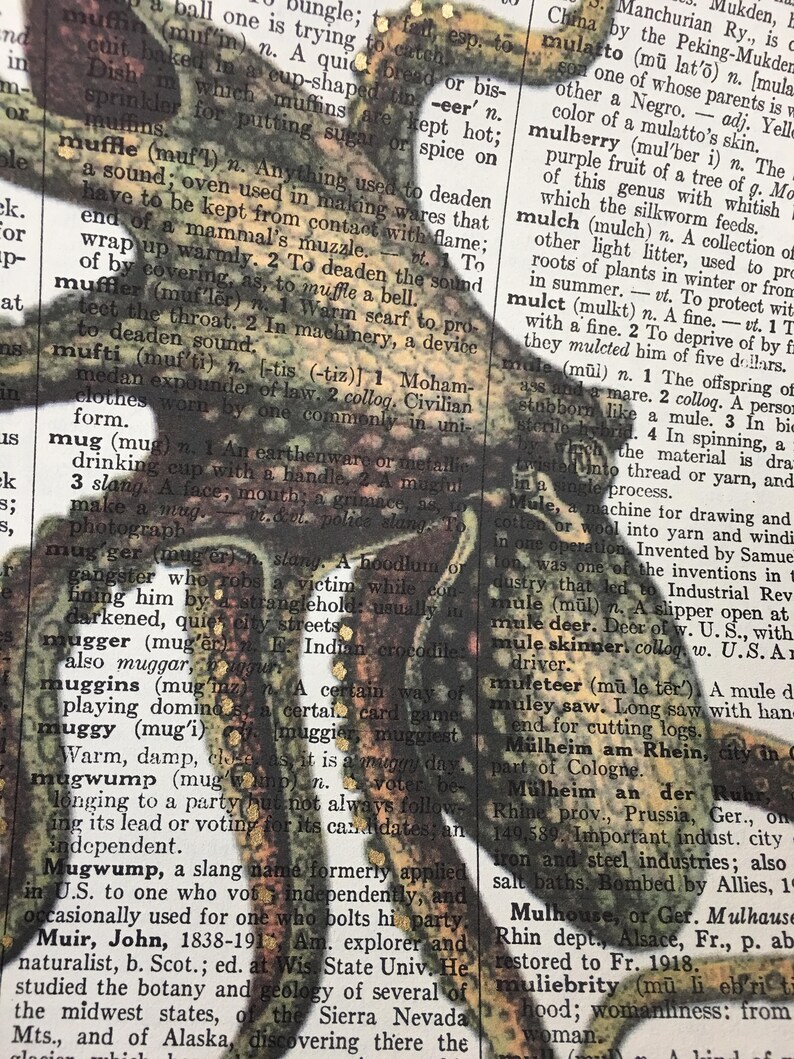 Octopus Art Octopus Prints Marine Life Print Octopus - Etsy