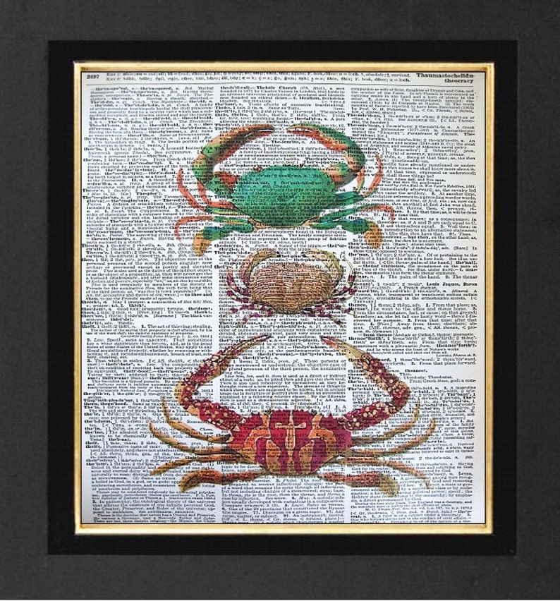 Lovely Crab Art Print-Crab Marine Life Print Mixed Media | Etsy