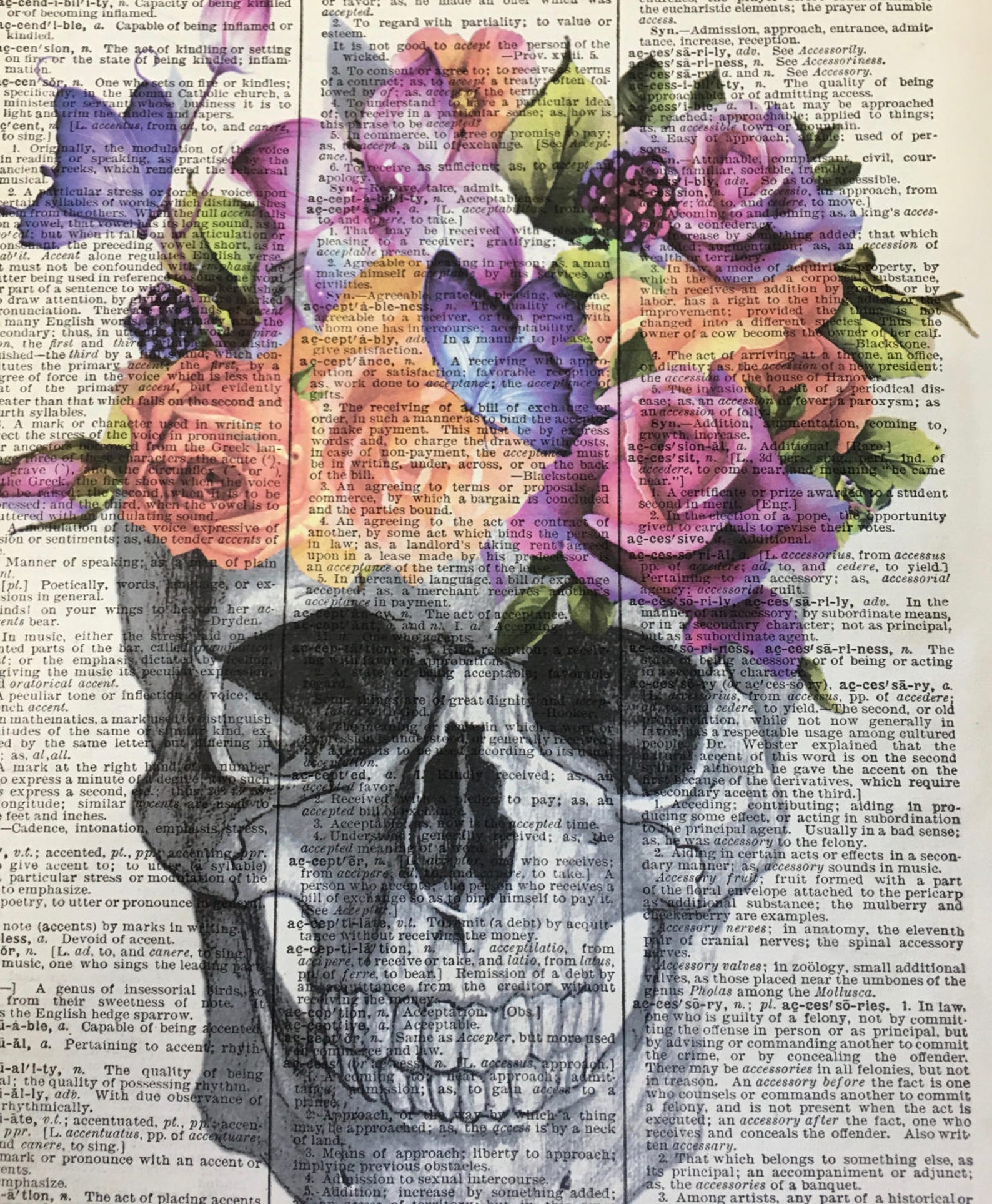 Skeleton Art, Skeleton Anatomical Art, Skeleton Art Print, Skeleton ...