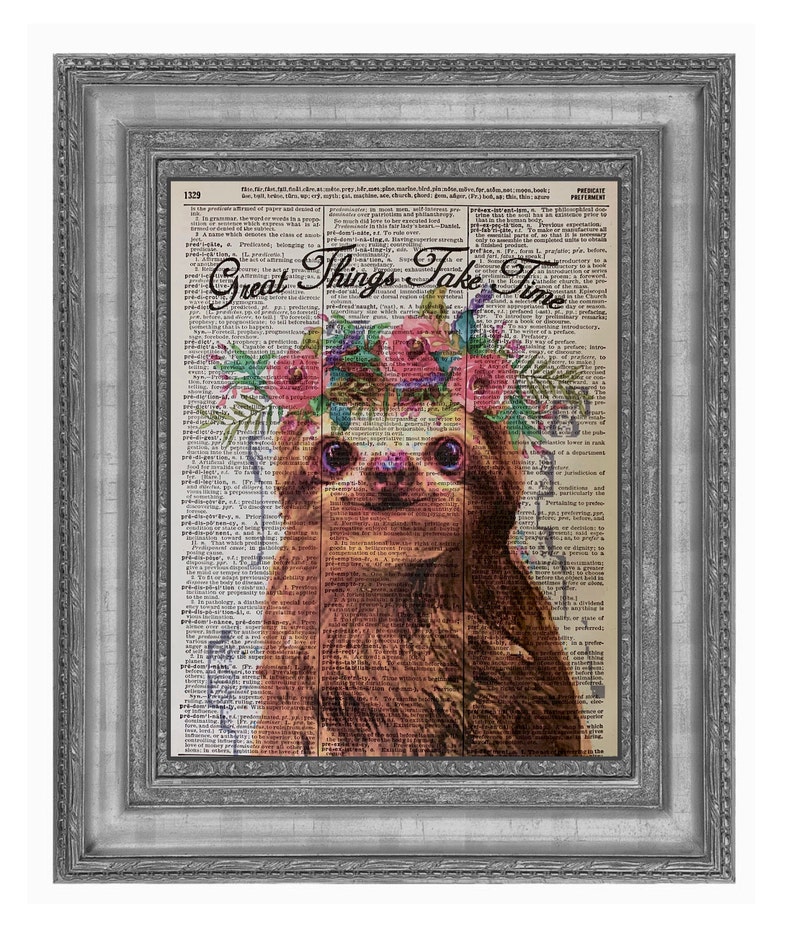 Sloth, Sloth Print, Picture of Sloth, Sloths, Sloth Wall Prints, 8x10 ...