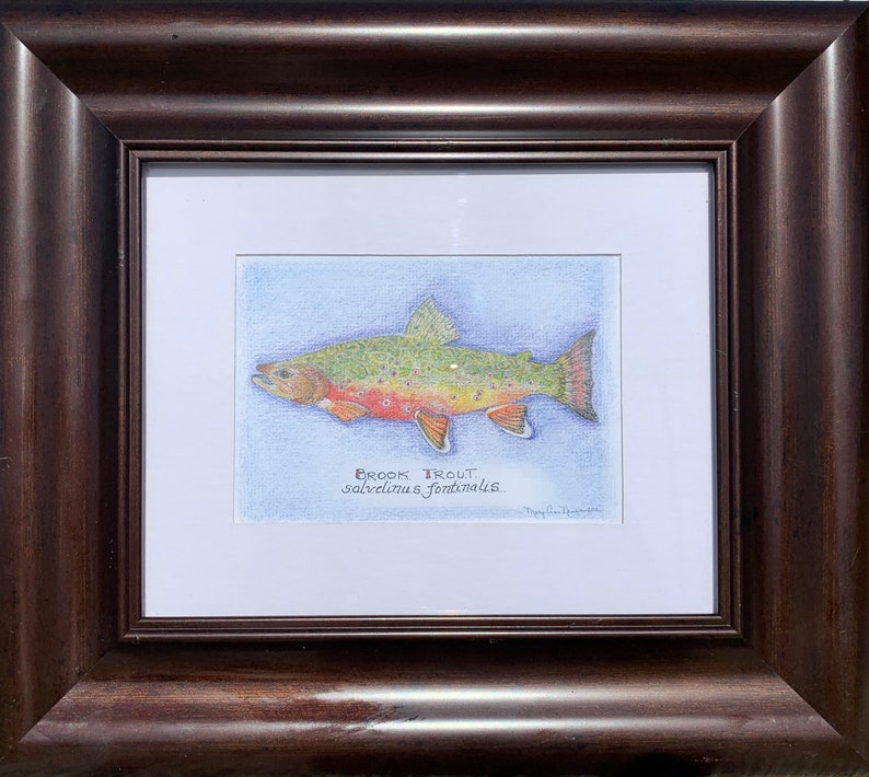 Brook Trout Fish / Pencil Drawing / Fish Lover / Original Art Print ...