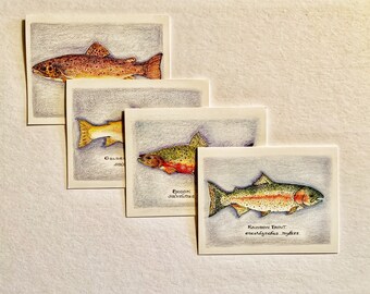 Fish Note Cards - Etsy