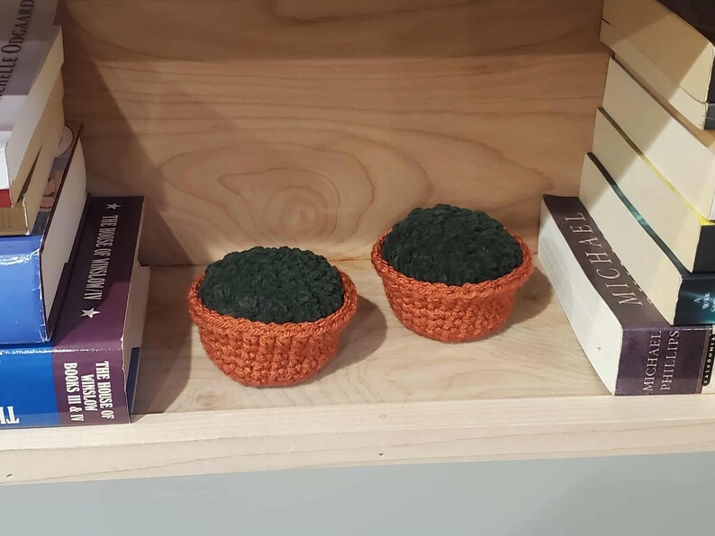 CROCHET PATTERN Moss Plant / PDF Pattern / Lichen Plants - Etsy
