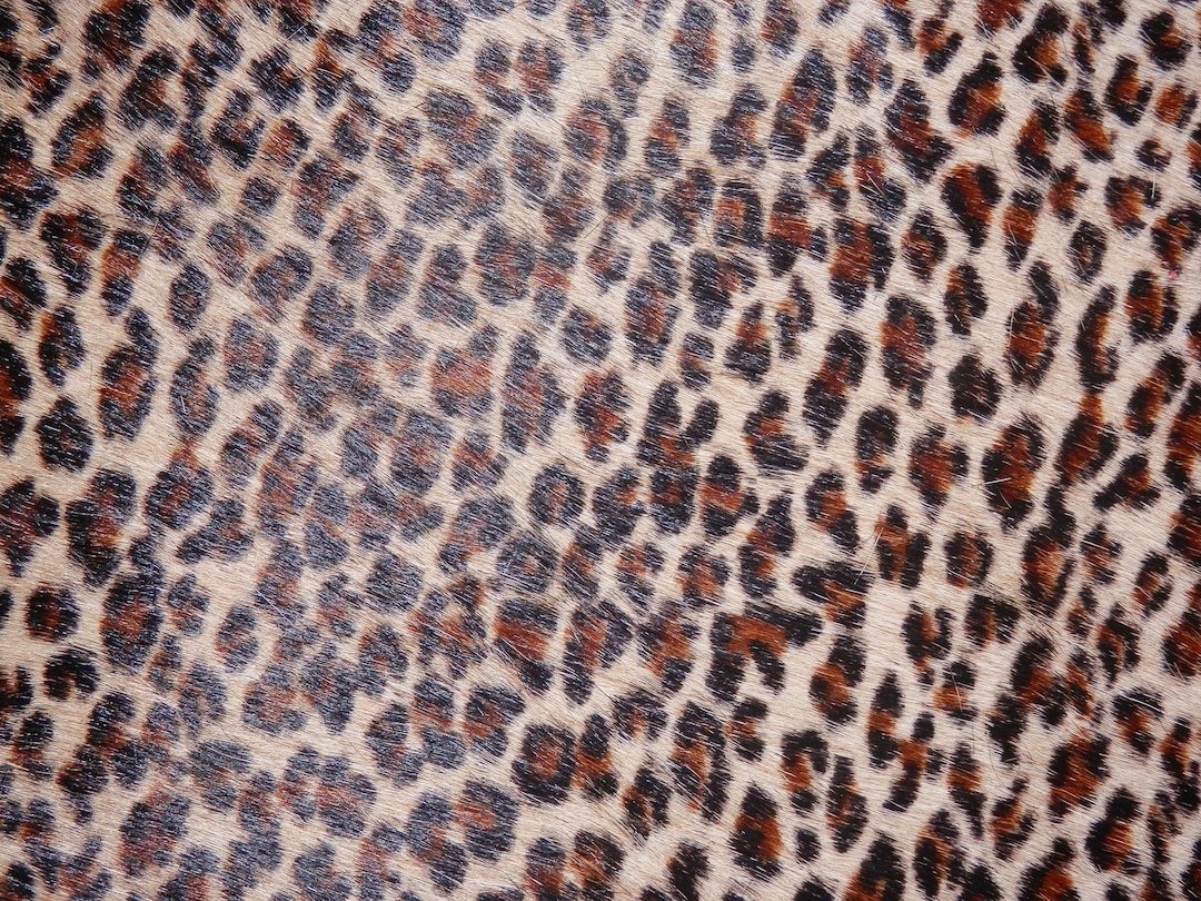 12"x24" Baby Leopard Print on Hair on Cowhide Avg 1.4mm Thick #1930 - Etsy