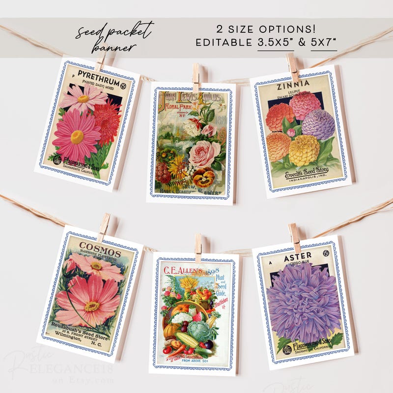 Seed Packet Sticker - Etsy