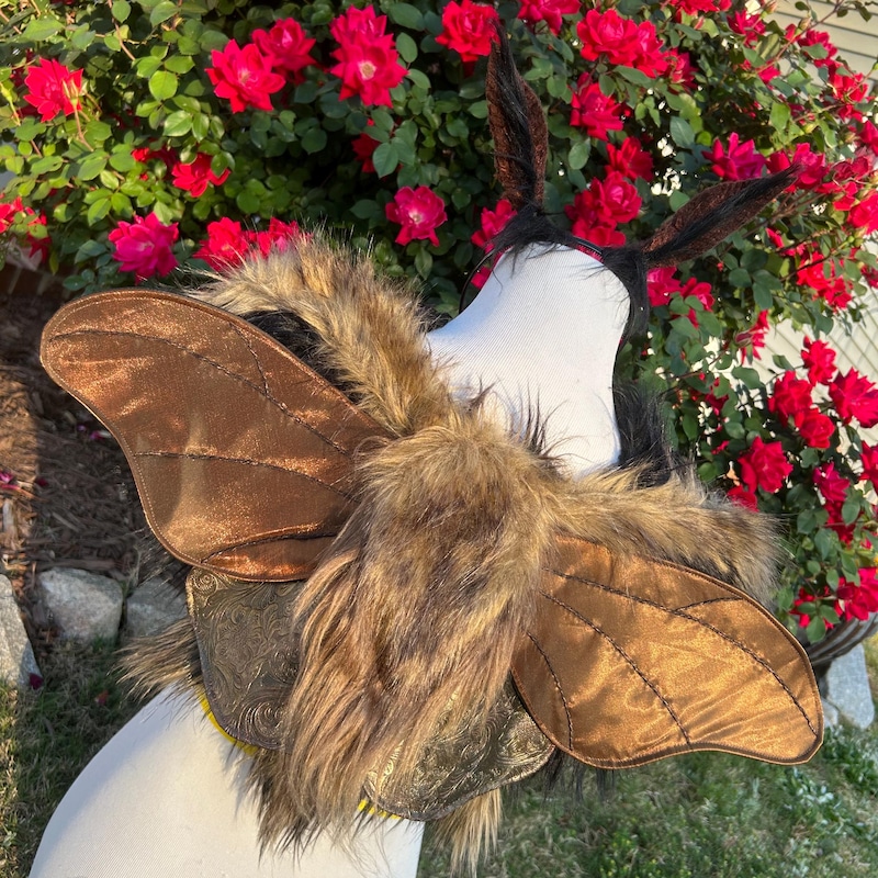 Moth Fursuit - Etsy