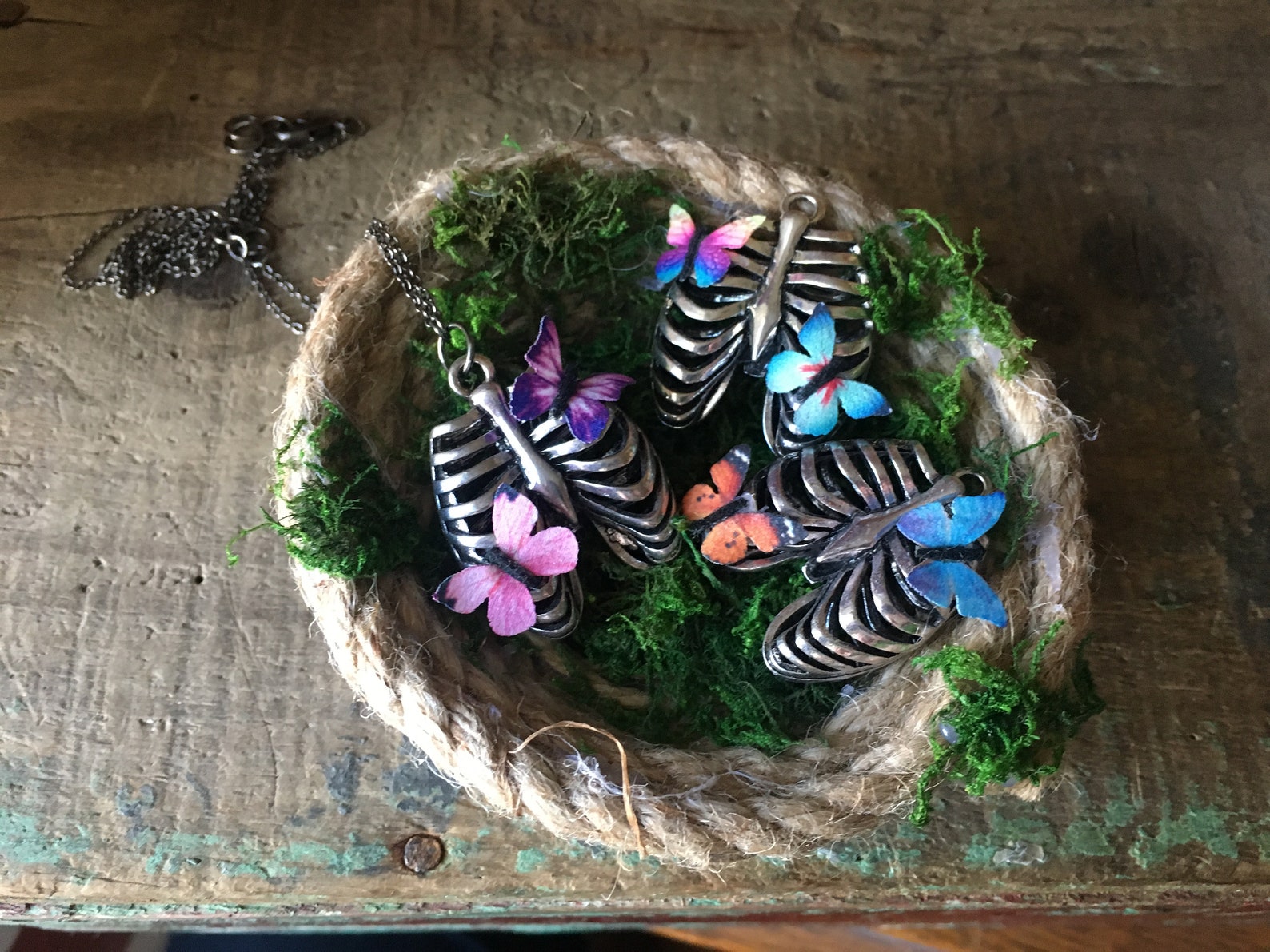 The Beauty in Decay Dimensional Rib Cage With Tiny - Etsy