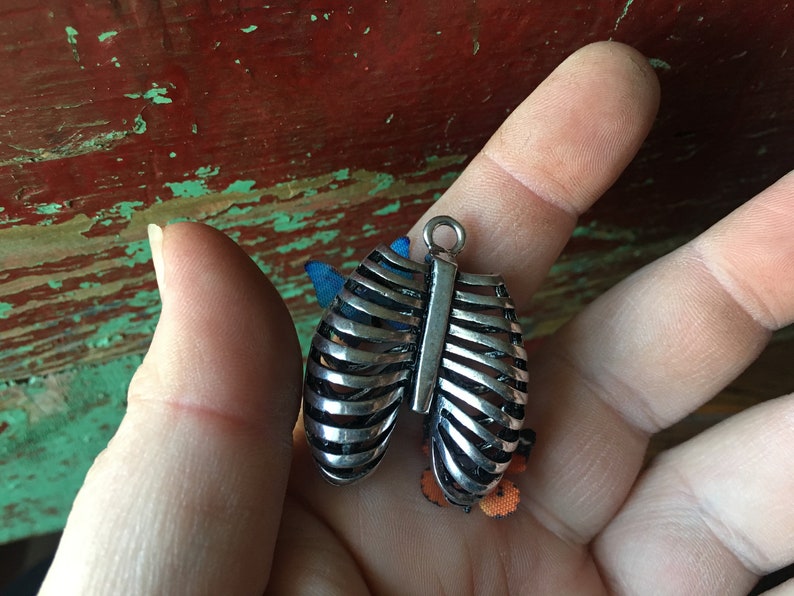 The Beauty in Decay Dimensional Rib Cage With Tiny - Etsy