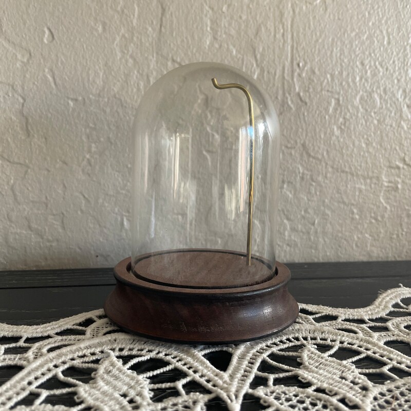 Glass Cloche - Etsy