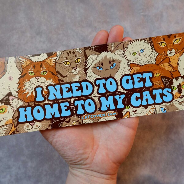Cat Bumper Sticker - Etsy