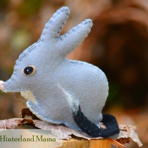 PDF Australian Bilby Felt Animal Pattern: Template and Instructions ...