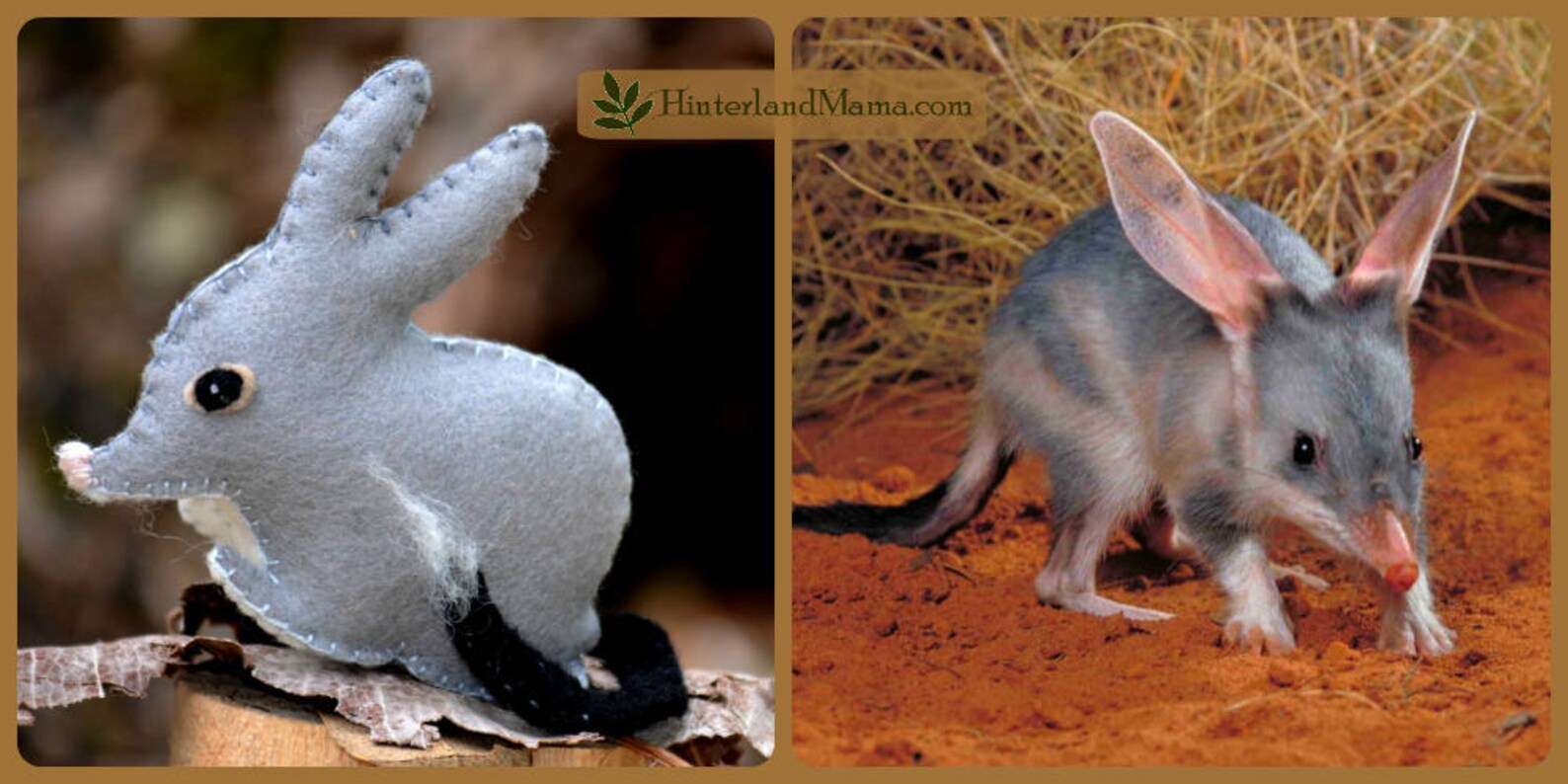 PDF Australian Bilby Felt Animal Pattern: Template and - Etsy