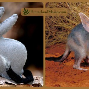 PDF Australian Bilby Felt Animal Pattern: Template and Instructions ...