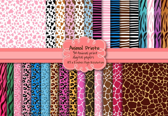 Animal Prints, Safari, Wild Animals, Tiger, Leopard, Giraffe, Zebra ...