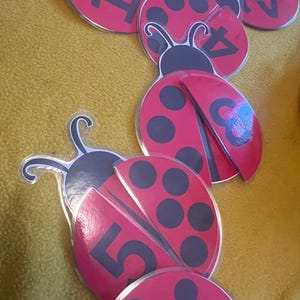 Number Recognition Ladybird Activity - Etsy