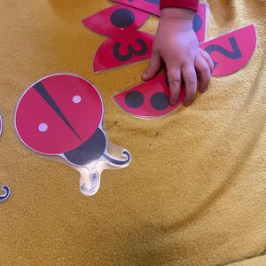 Number Recognition Ladybird Activity - Etsy
