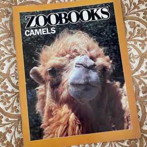 1989 Vintage Zoobooks Camels Kids Animal Magazine Book 1980s - Etsy