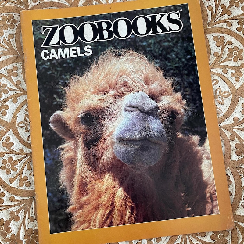Zoobooks - Etsy