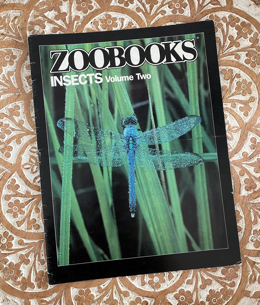 1989 Vintage Zoobooks Insects Kids Animal Magazine Book 1980s - Etsy