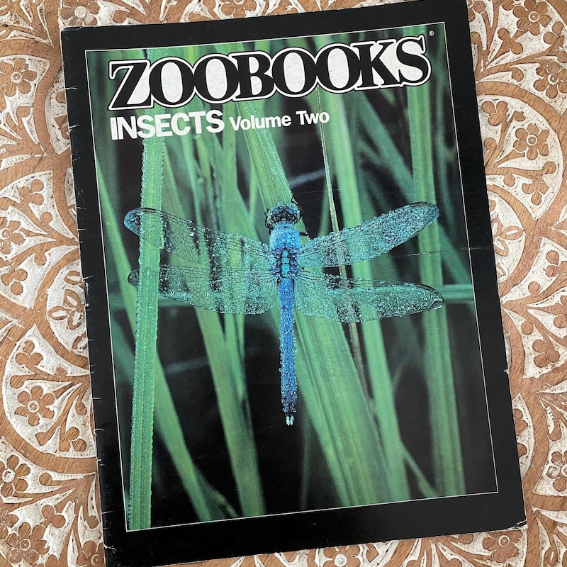 Zoobooks - Etsy