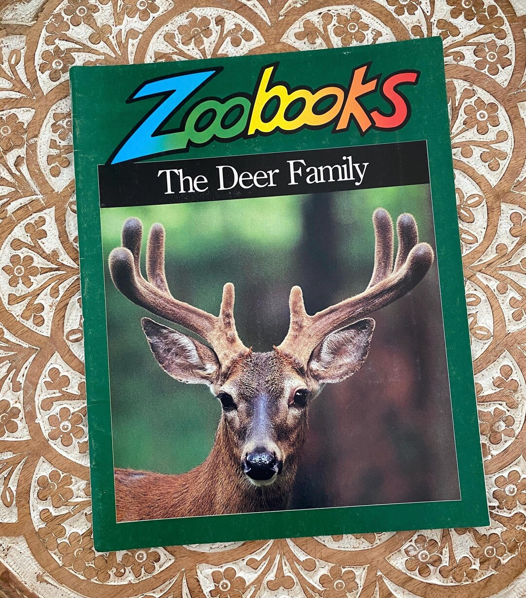1992 Vintage Zoobooks the Deer Family Kids Animal Magazine Book 1990s ...