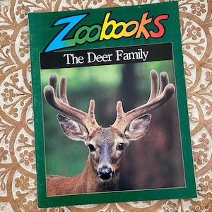 1992 Vintage Zoobooks the Deer Family Kids Animal Magazine Book 1990s ...