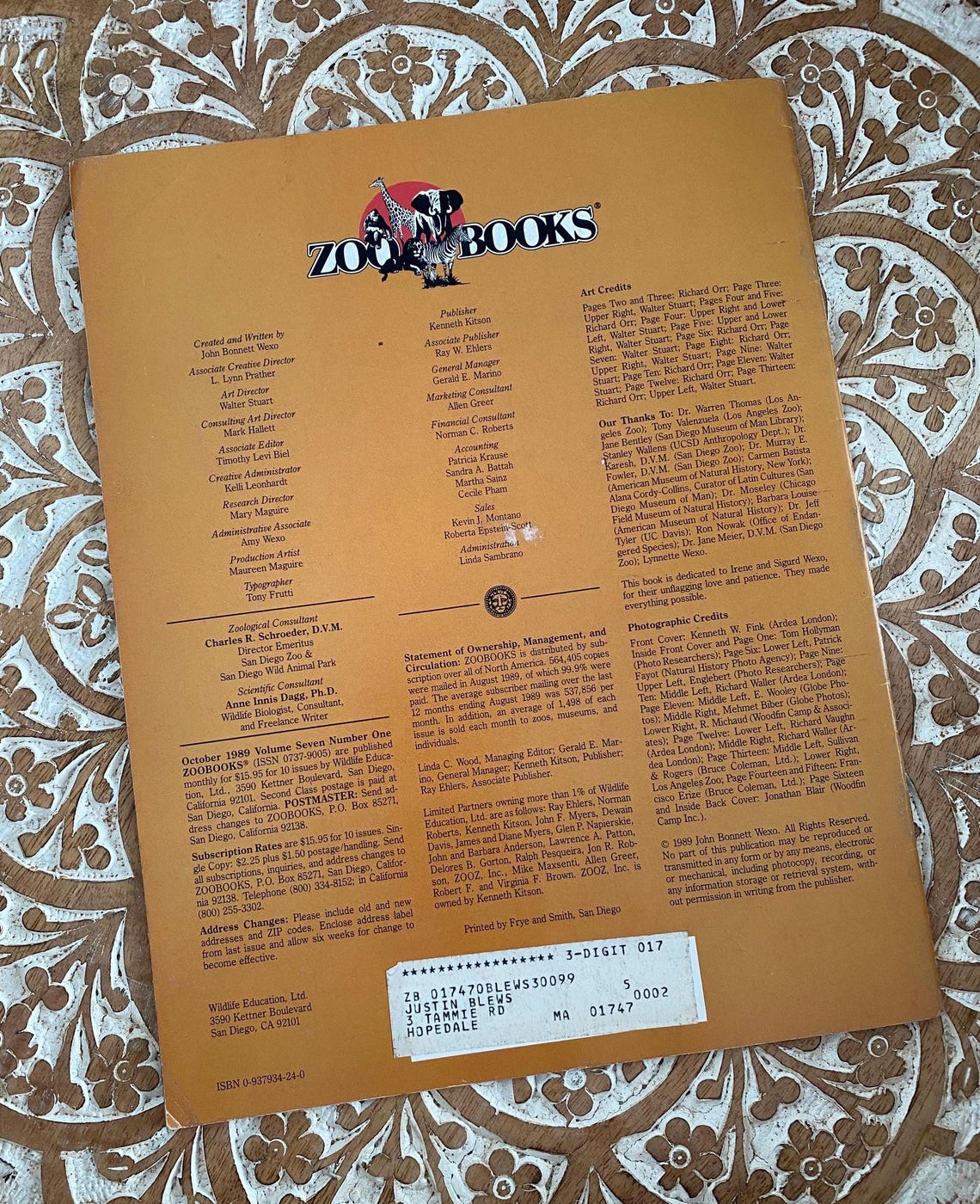 1989 Vintage Zoobooks Camels Kids Animal Magazine Book 1980s - Etsy