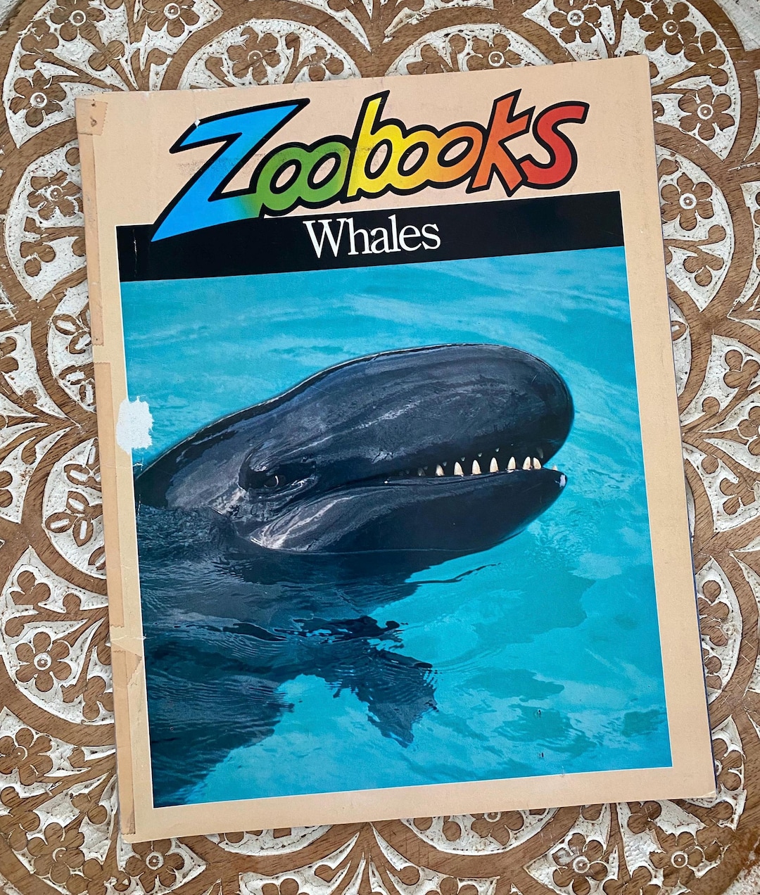1992 Vintage Zoobooks Whales Kids Animal Magazine Book 1990s - Etsy