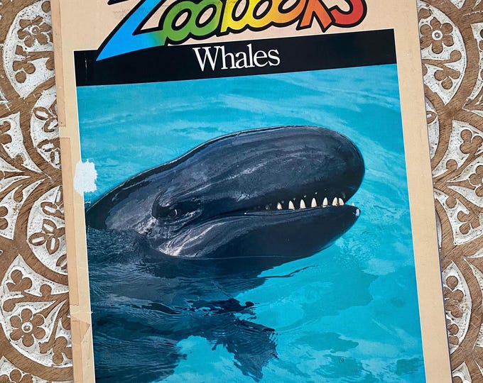 1992 Vintage Zoobooks Whales Kids Animal Magazine Book 1990s - Etsy