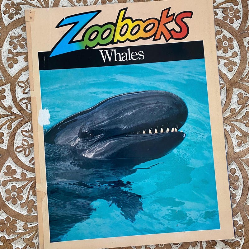 Zoobooks - Etsy