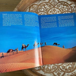 1989 Vintage Zoobooks Camels Kids Animal Magazine Book 1980s - Etsy