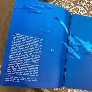1992 Vintage Zoobooks Whales Kids Animal Magazine Book 1990s - Etsy