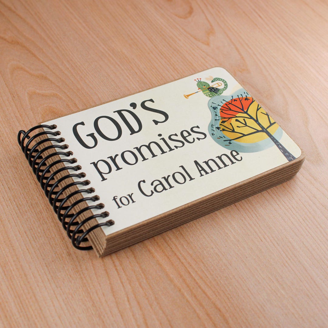 Personalized Baby Dedication Gift: Musical Animals God's Promises Book ...