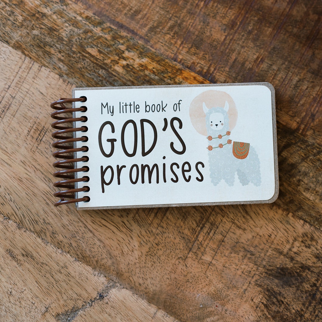 God's Promises for Kids Birthday Gift Perfect for Early Readers ...
