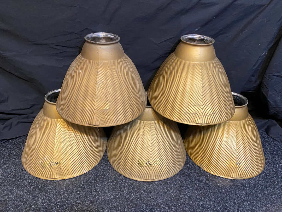 Antique Curtis X-ray Shades “queen” - Etsy