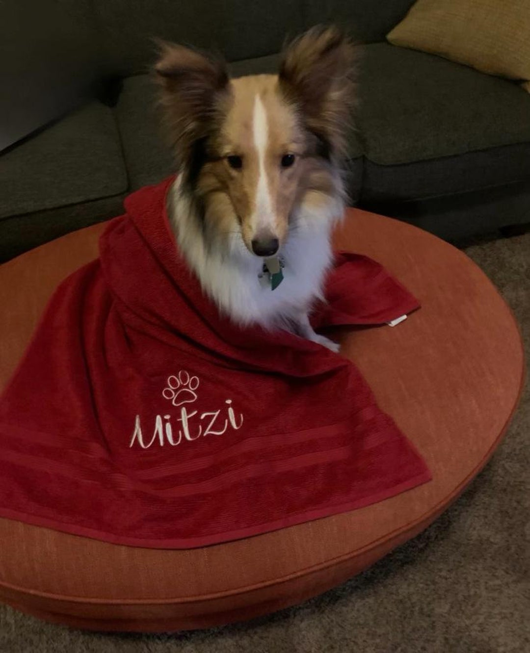 Personalized Dog Bath Towel: Embroidered Paw Print, Custom Pet Name ...