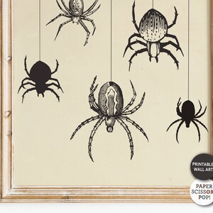 Vintage Spider Wall Art Printable Poster, Spider Halloween Decor ...