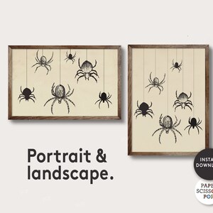Vintage Spider Wall Art Printable Poster, Spider Halloween Decor ...