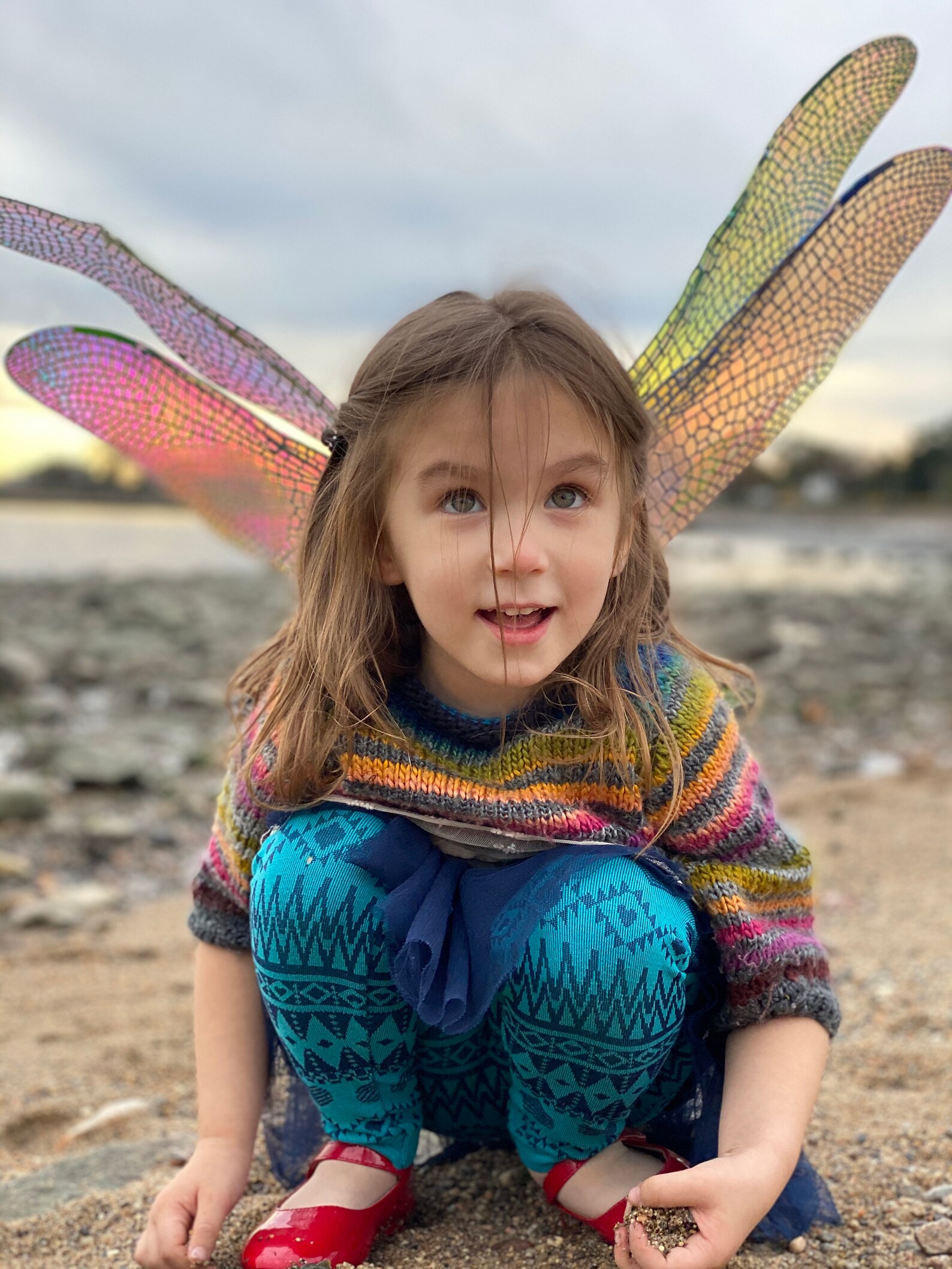 Large Dragonfly Fairy Wings - Etsy