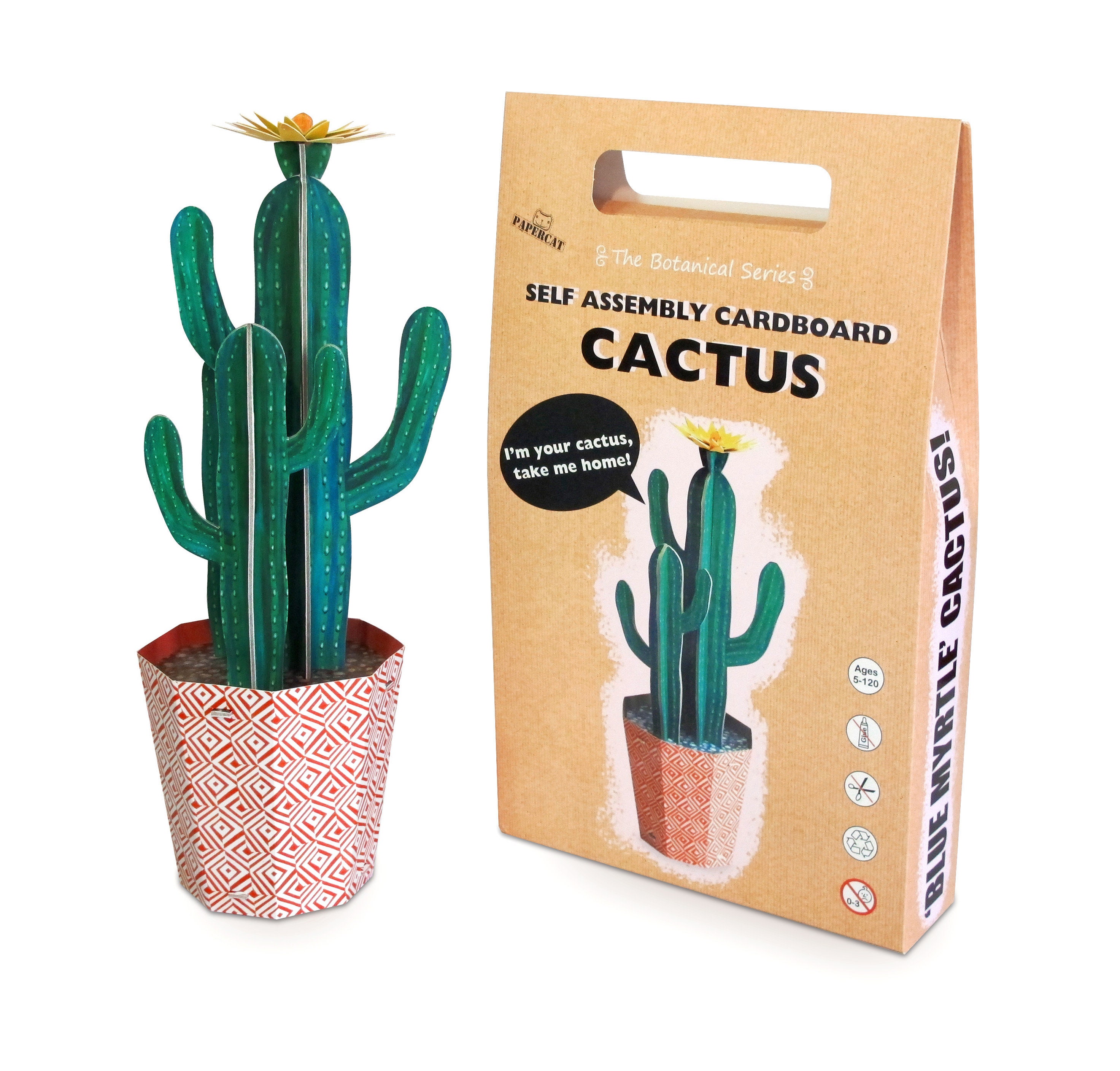 Cactus Craft Kit, Cardboard Plant, DIY Cactus Kit, Blue Myrtle Cactus ...
