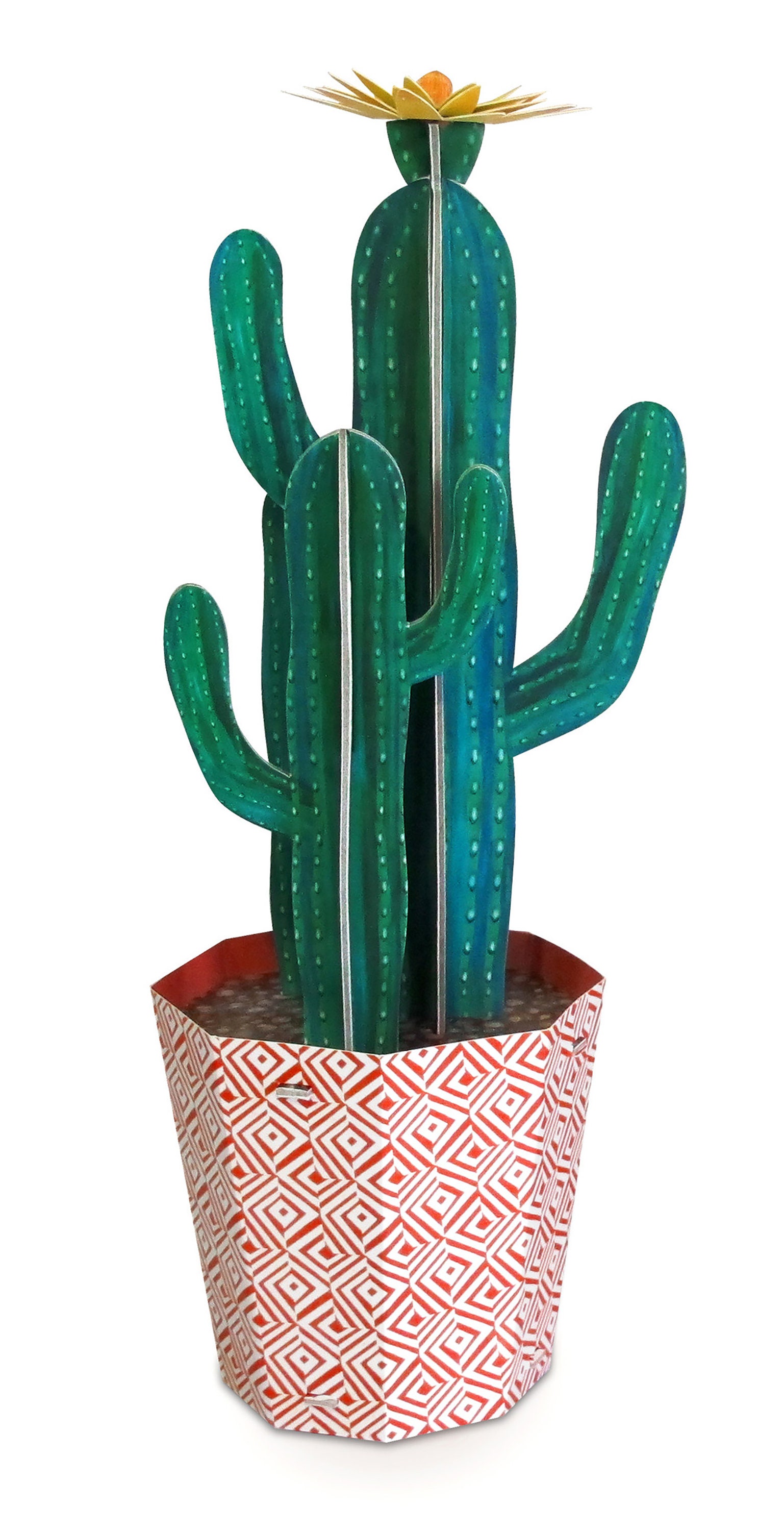 Cactus Craft Kit, Cardboard Plant, DIY Cactus Kit, Blue Myrtle Cactus ...