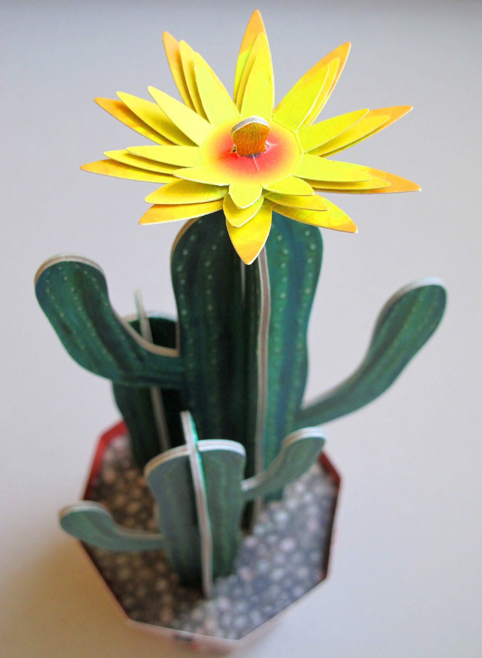 Cactus Craft Kit, Cardboard Plant, DIY Cactus Kit, Blue Myrtle Cactus ...