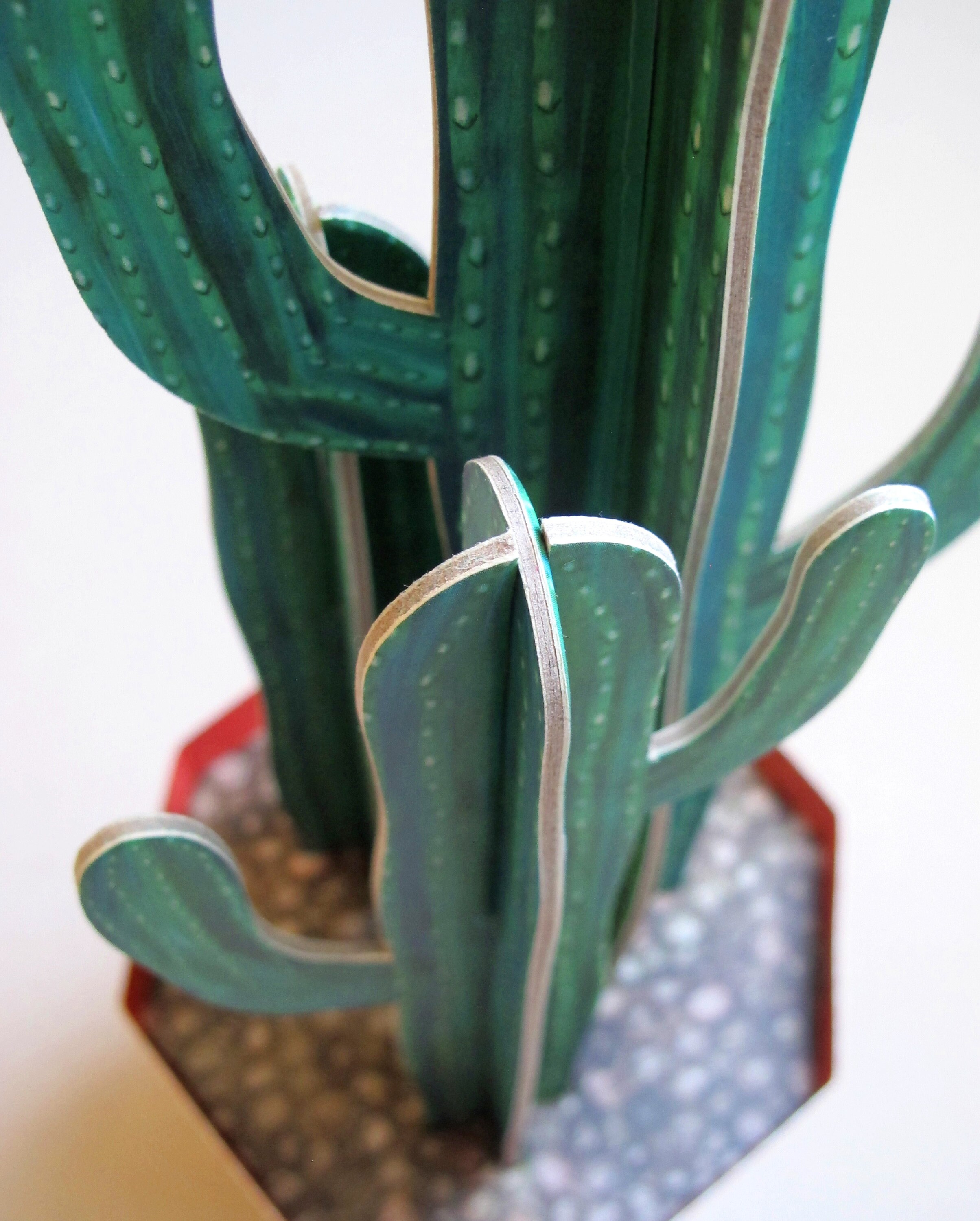 Cactus Craft Kit, Cardboard Plant, DIY Cactus Kit, Blue Myrtle Cactus ...