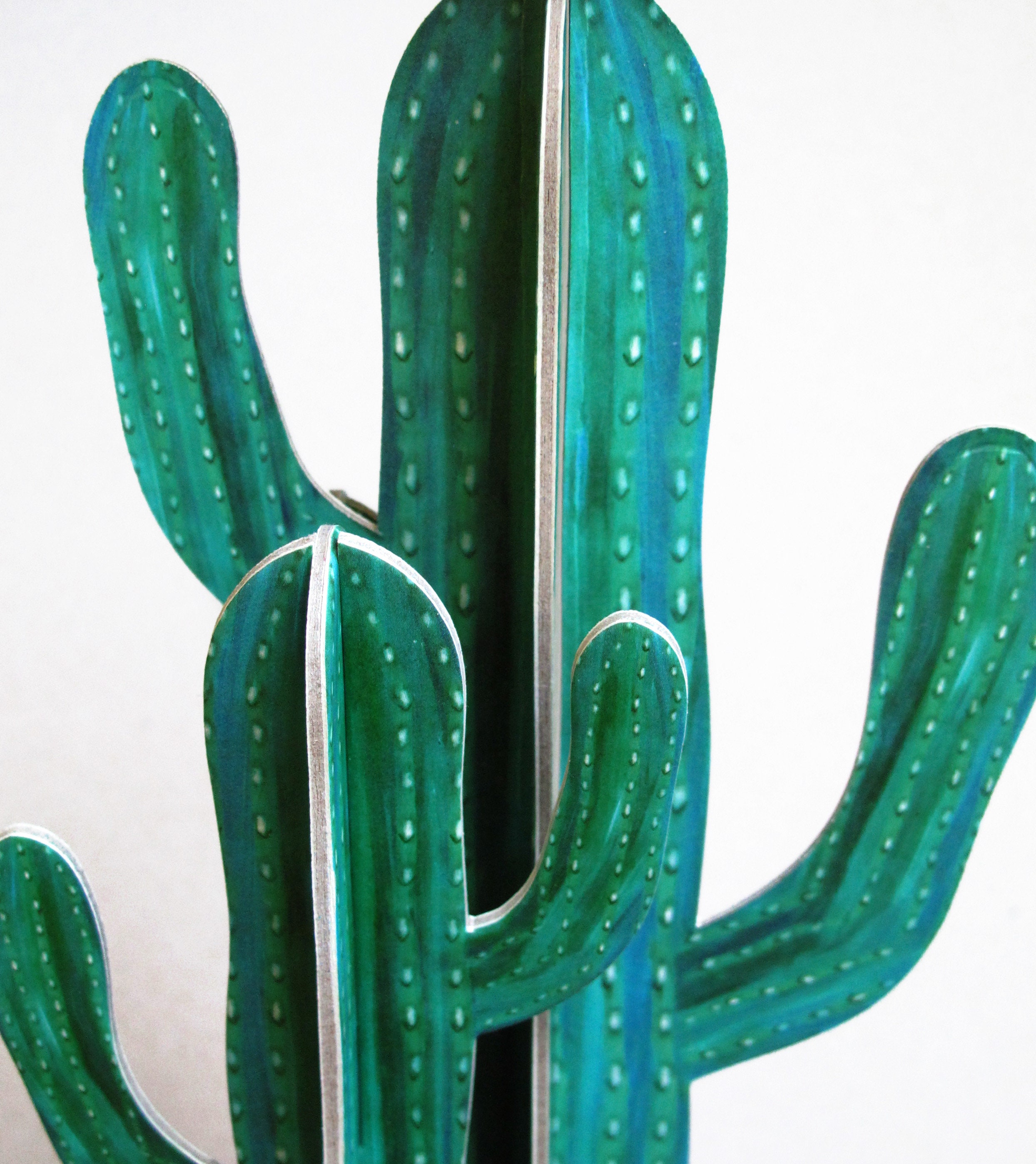 Cactus Craft Kit, Cardboard Plant, DIY Cactus Kit, Blue Myrtle Cactus ...